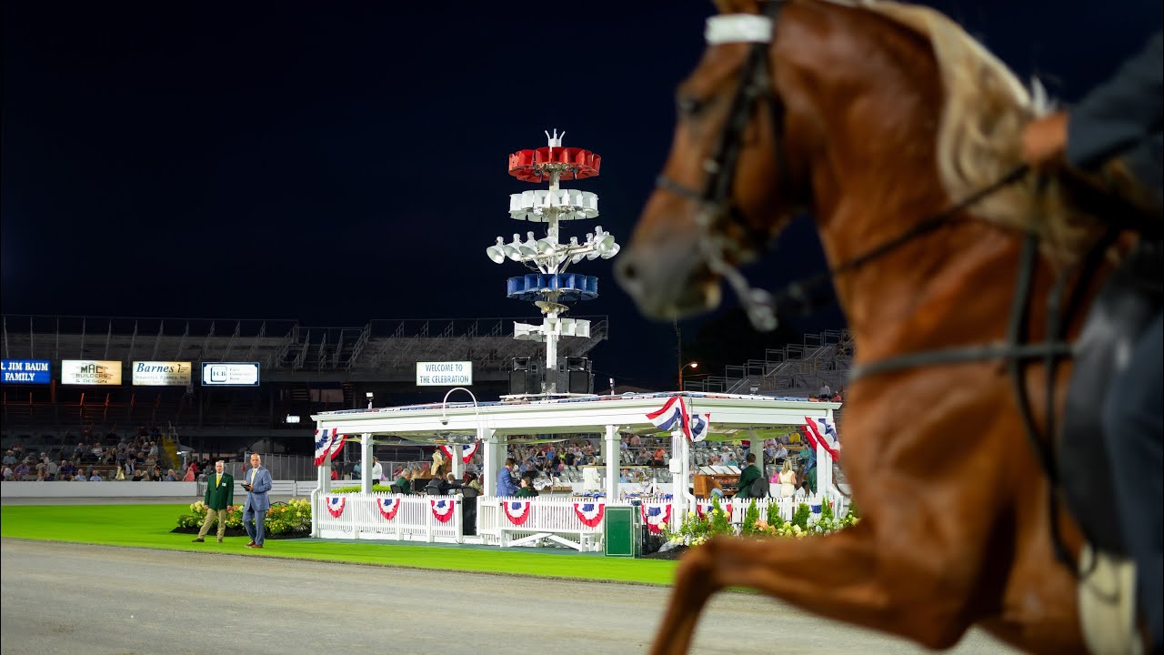 Walkthrough at the 87th Tennessee Walking Horse National Celebration ...