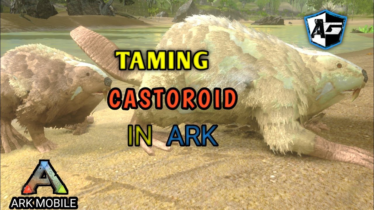 TAME CASTOROID ARK|HOW TO TAME CASTOROID ARK MOBILE - YouTube