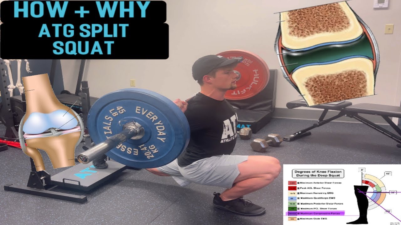 ATG Split Squat Form Video — ATG Science Blueprint - YouTube