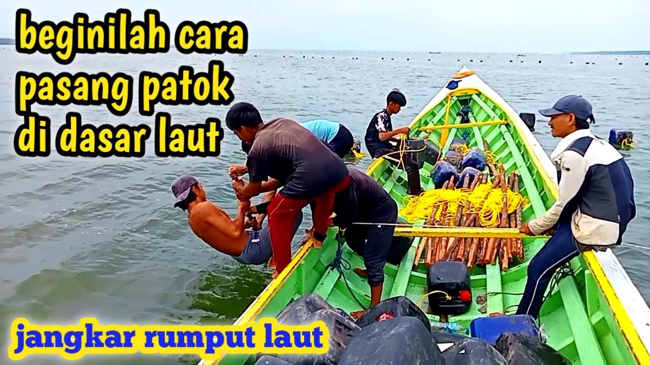 PASANG PATOK di DASAR LAUT jangkar rumput laut - YouTube