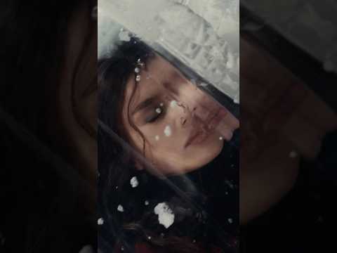 20.02 BEARWOLF - Феникс 🐦‍🔥