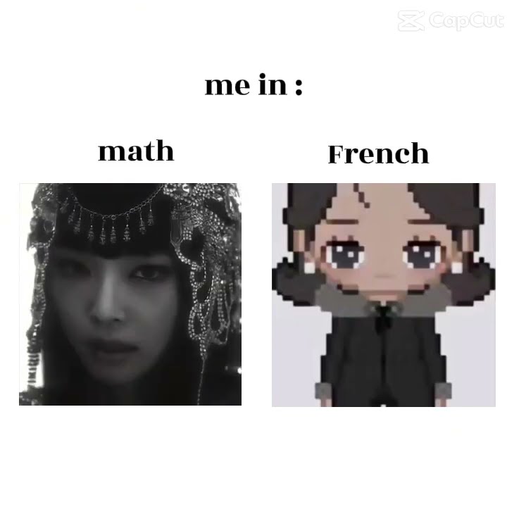 Me in math vs french - YouTube