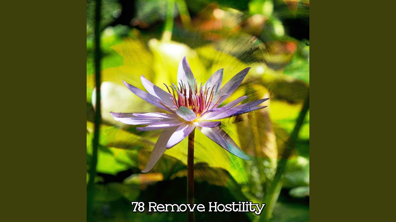 Gather Yourself - YouTube