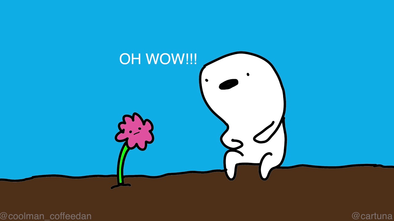 MR. FLOWER - YouTube