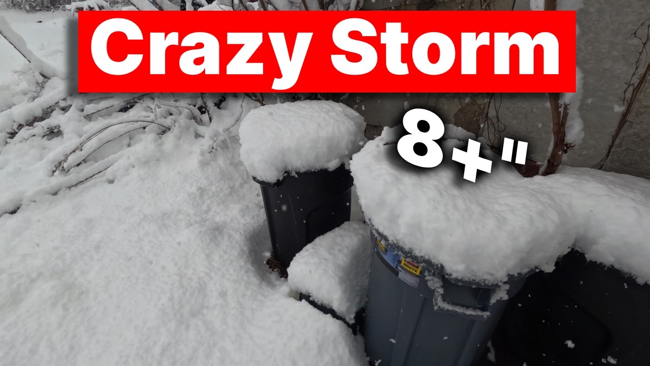 We Got a CRAZY Snow Storm On The Farm (With Christmas Music) - YouTube