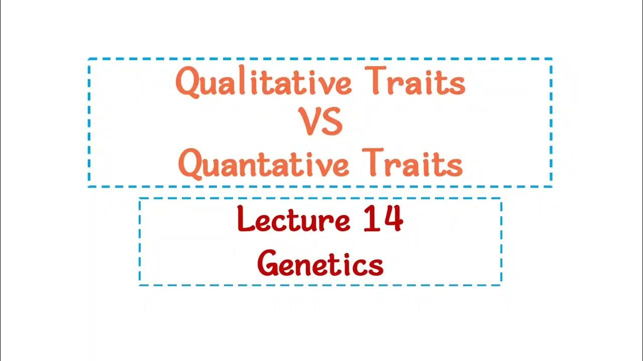 Qualitative traits VS Quantitative Traits / Genetics Lecture 14 - YouTube