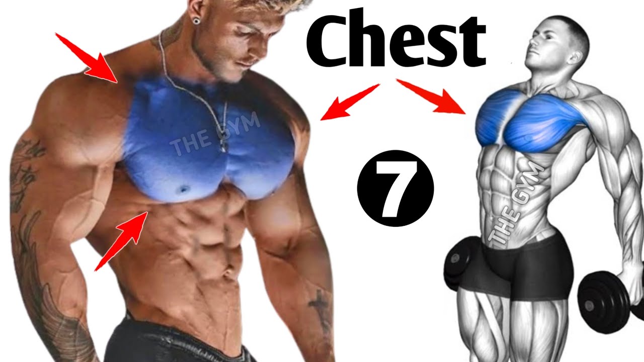 7 Best Chest Exercises YOU Should Be Doing - YouTube