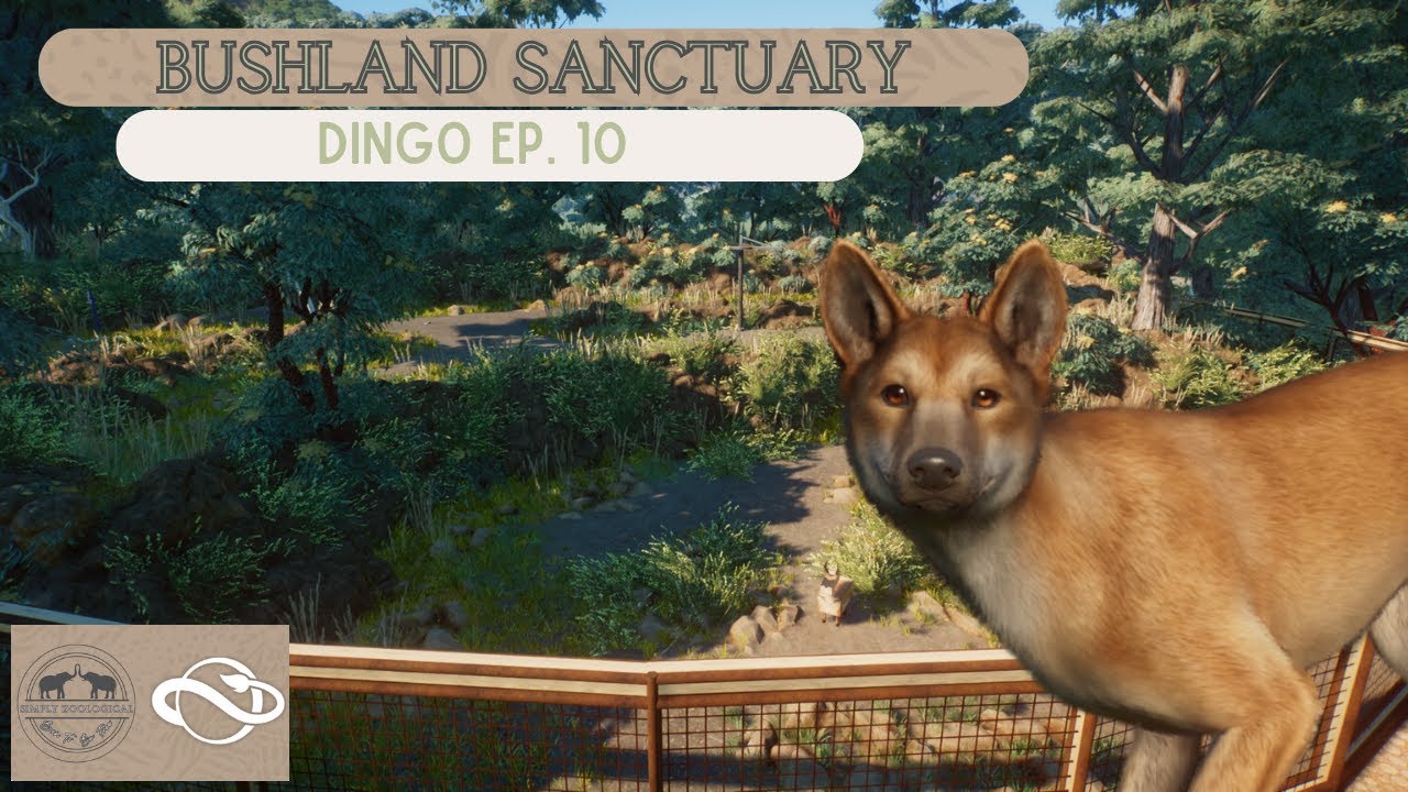 🦘 Dingo Habitat | Planet Zoo Speed Build | Bushland Sanctuary Ep. 10 - YouTube