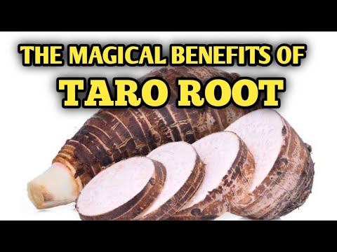 16 MAGICAL BENEFITS OF EATING TARO ROOT - YouTube