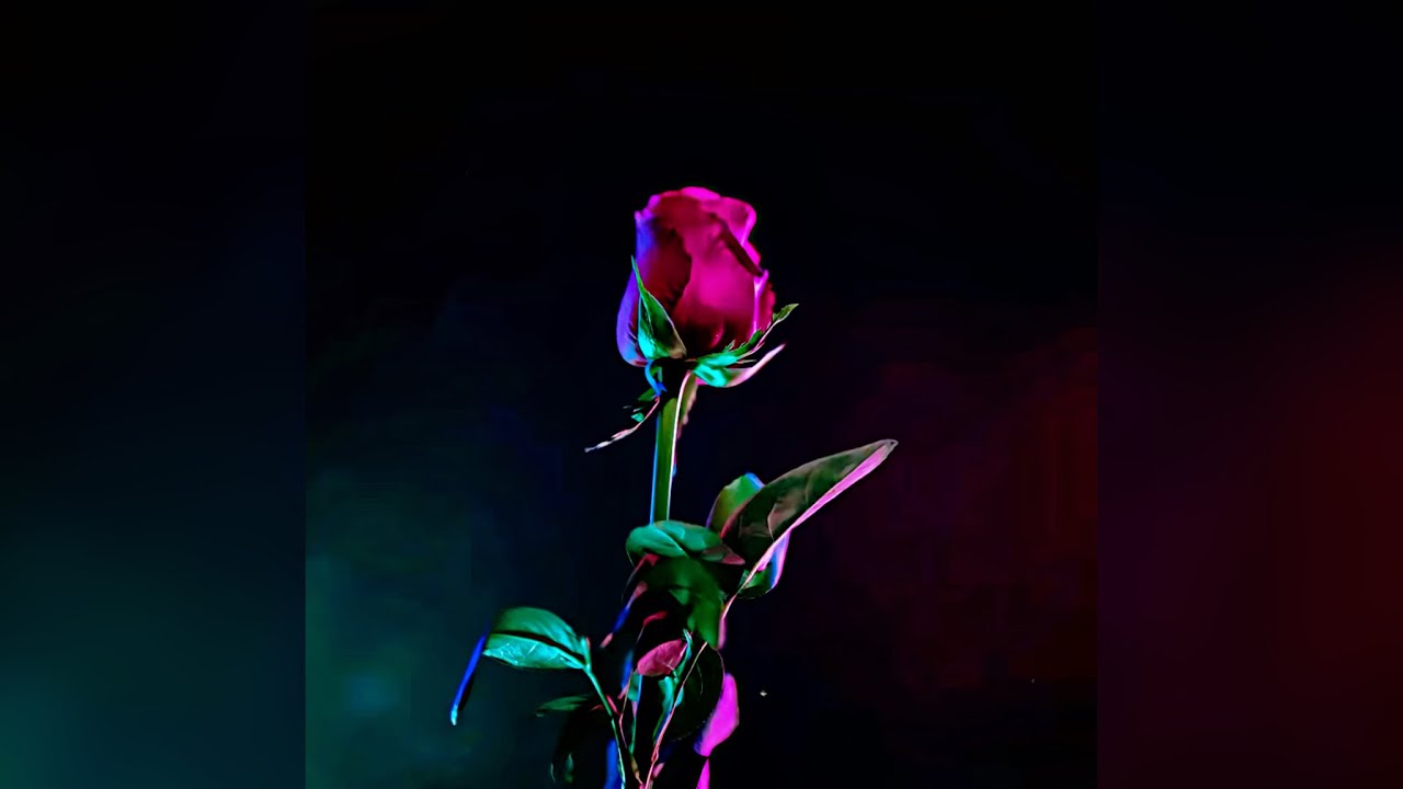 GHOSTEMANE x 93FEETOFSMOKE x TYPE BEAT x “Unnamed Rose” Emo | Rap ...