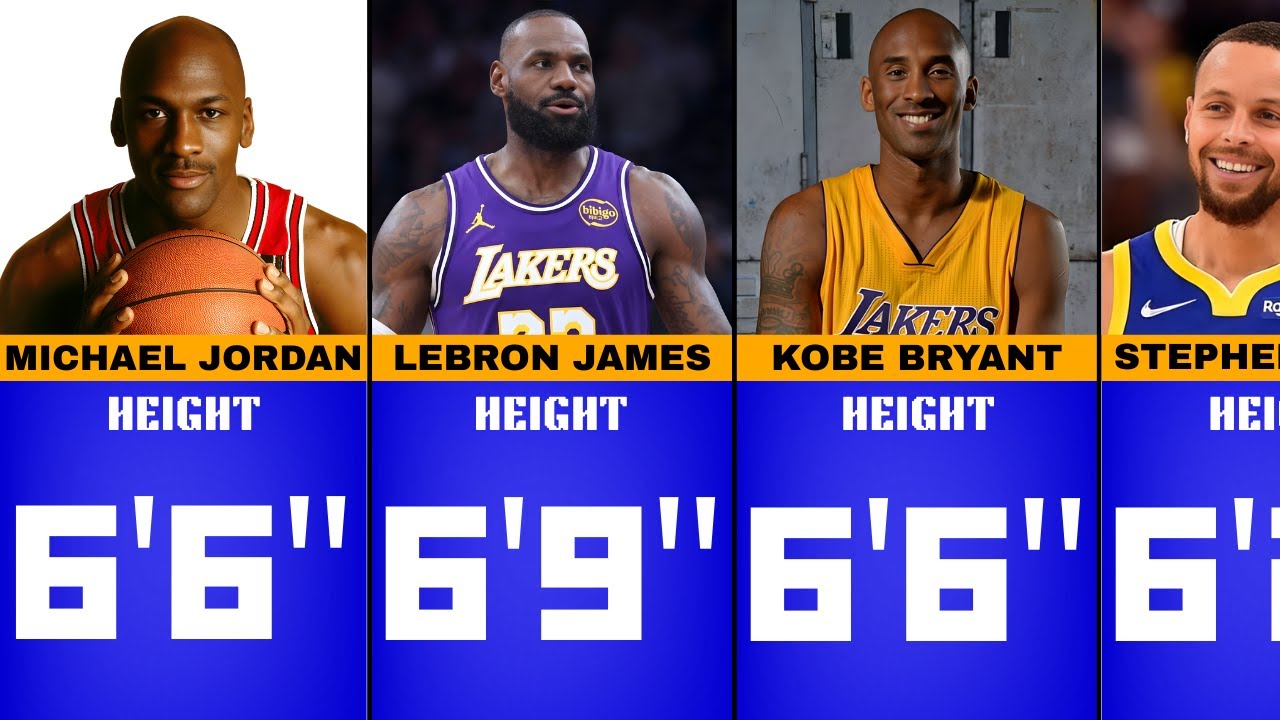 Height of the Most Famous NBA Players | Top 50 NBA Stars Compared 🏀 ...