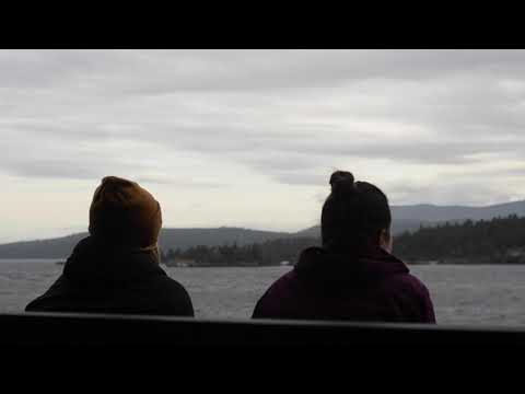 Ferry ride home - the trip that changed me