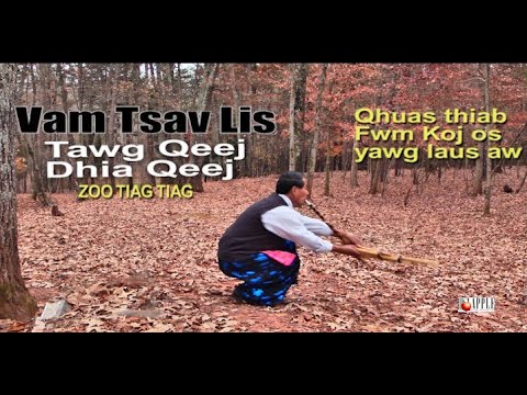 VAM TSAV LIS - TAWG QEEJ DHIA QEEJ - Zoo Tiag Tiag - YouTube