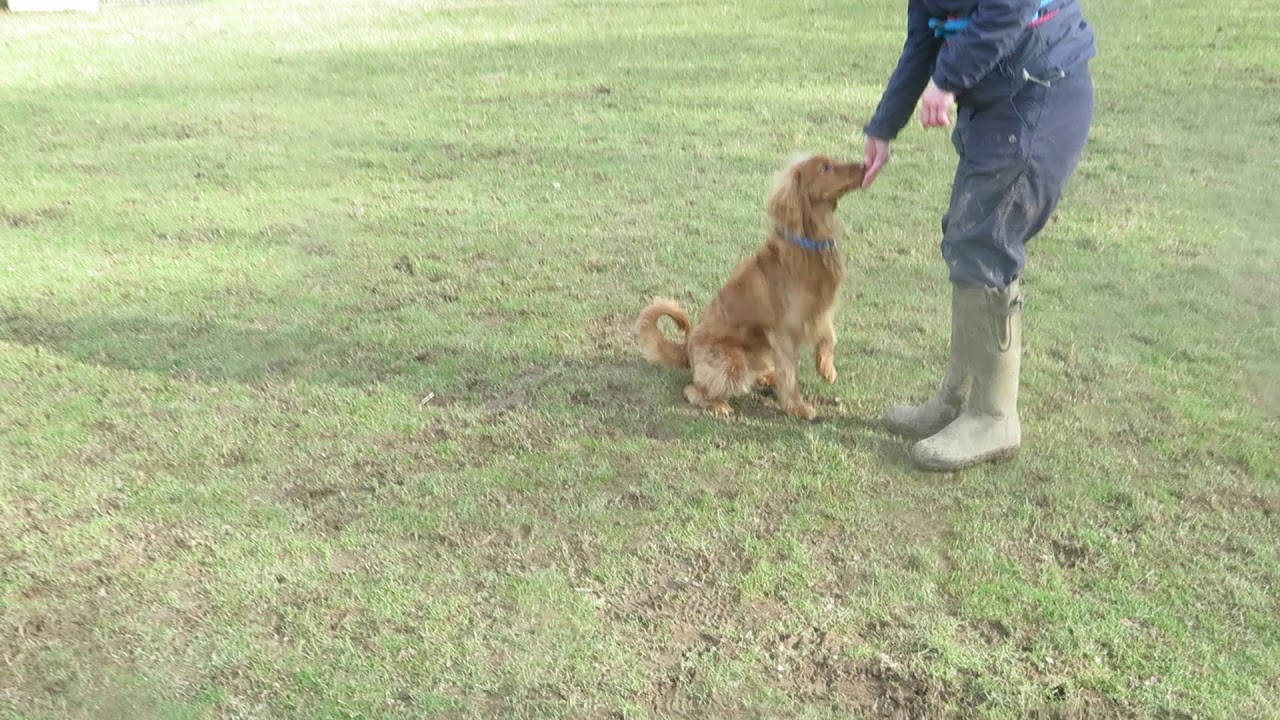 Copper training - YouTube