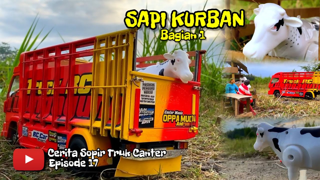 TRUK OLENG MUAT SAPI KURBAN IDUL ADHA || Sapi Idul Adha Mengamuk ...