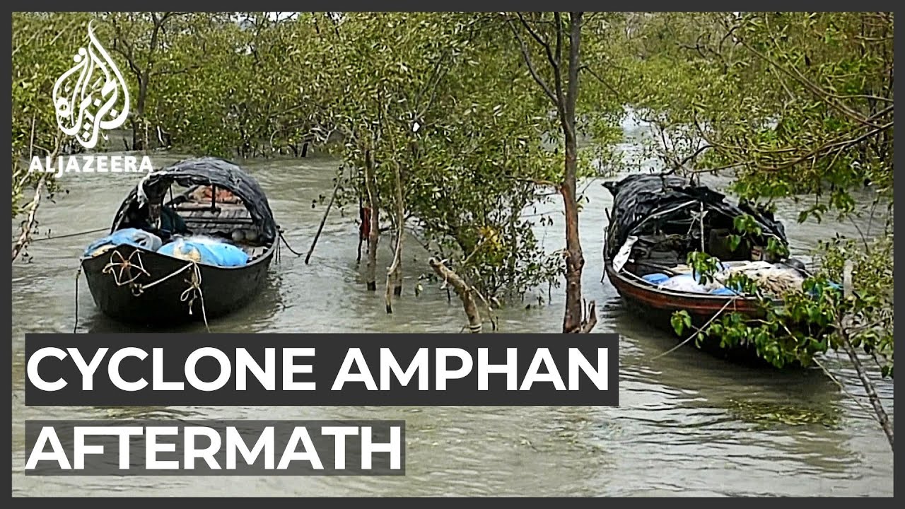 Amphan aftermath: Seawater destroys farmland in Sundarbans - YouTube