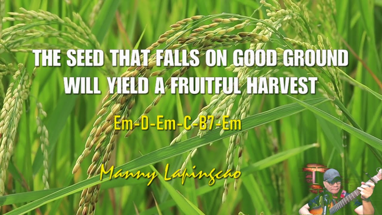 THE SEED THAT FALLS ON GOOD GROUND WILL YIELD A FRUITFUL HARVEST ...