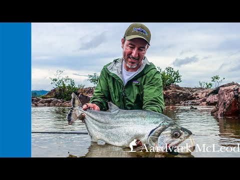 Fly Fishing For Payara From Xingu Lodge In Brazil