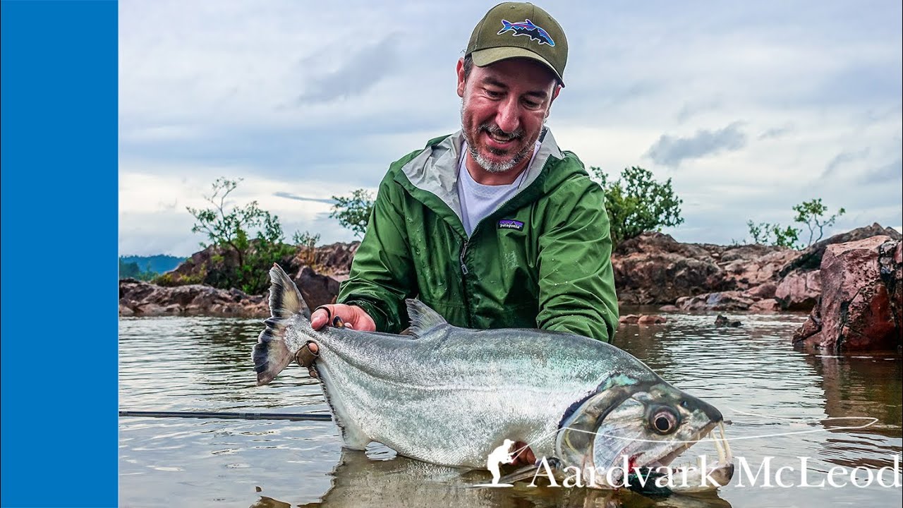 Fly Fishing For Payara From Xingu Lodge In Brazil - YouTube