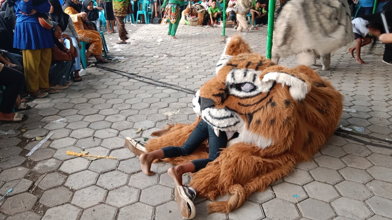 Barongan macan ngamuk, Buto buto new Pandawa terbaru 2025. - YouTube