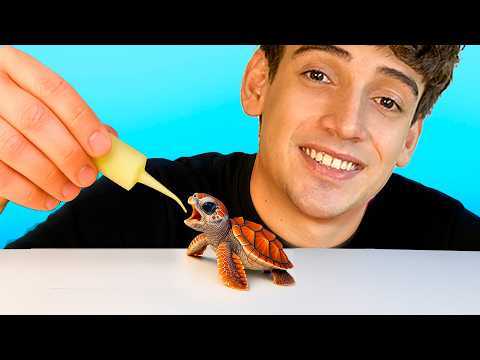 🩸1000 Kaplumbağa Yumurtasını Kurtardım ve Yumurtadan Çıktılar🩸