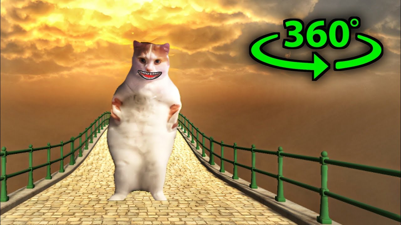 Cat Dances To Girlfriend chase you But It's 360° VR Video #2 - YouTube