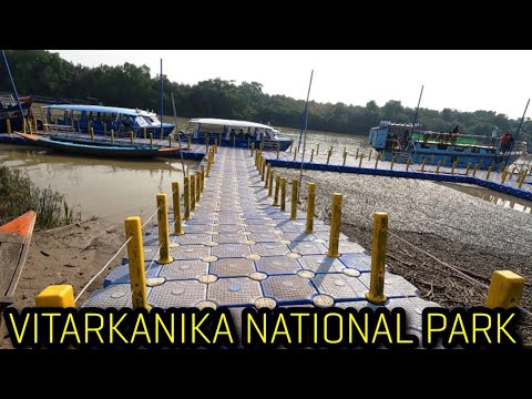 vitarkanika national park main sabse bada crocodile dekha // PART - 2 ...