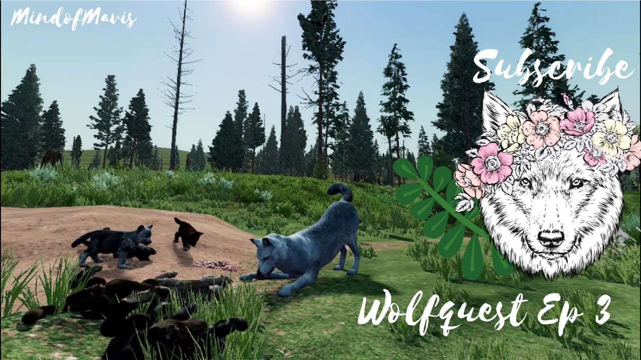 Birth of the frozen wolf pups?! Wolfquest 3: Ep 3 - YouTube