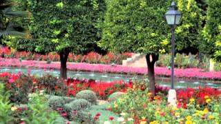 Bookcliff Gardens
