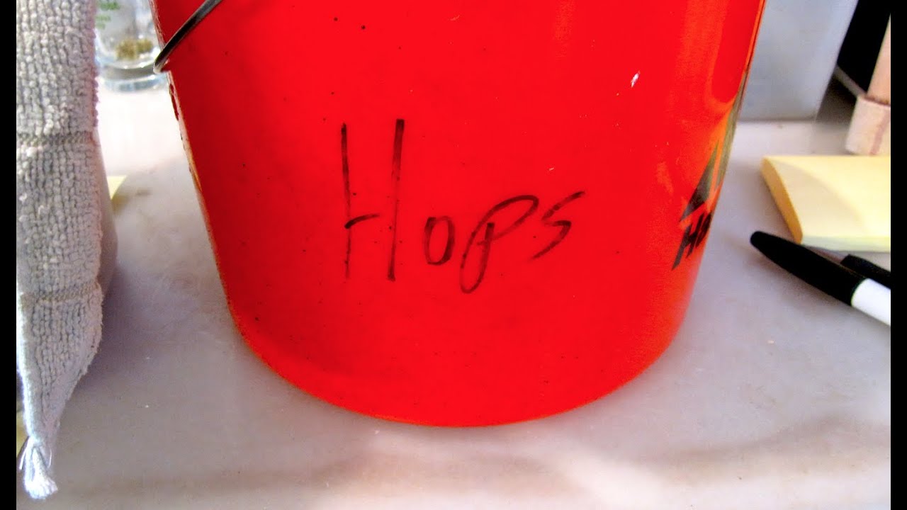 Aspen Brewing 2010: THE BREWING PROCESS - HHG #132 - YouTube