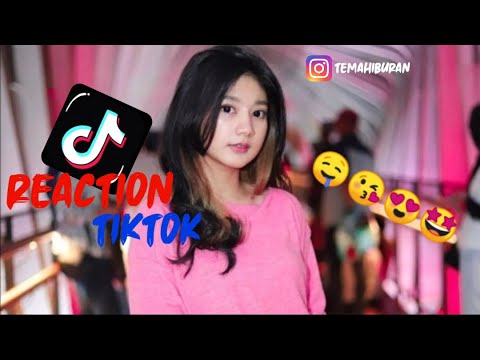 VIRAL!! TIKTOK PEMERSATU BANGSA