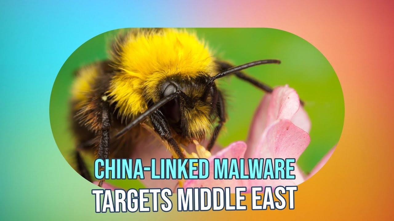 EagerBee Malware: Sophisticated Chinese-Backed Threat Targets ISPs ...