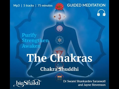 Chakra Shuddhi - Purify Strengthen Awaken the Chakras – Guided Training ...