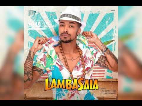 lambasaia - senta concentrada