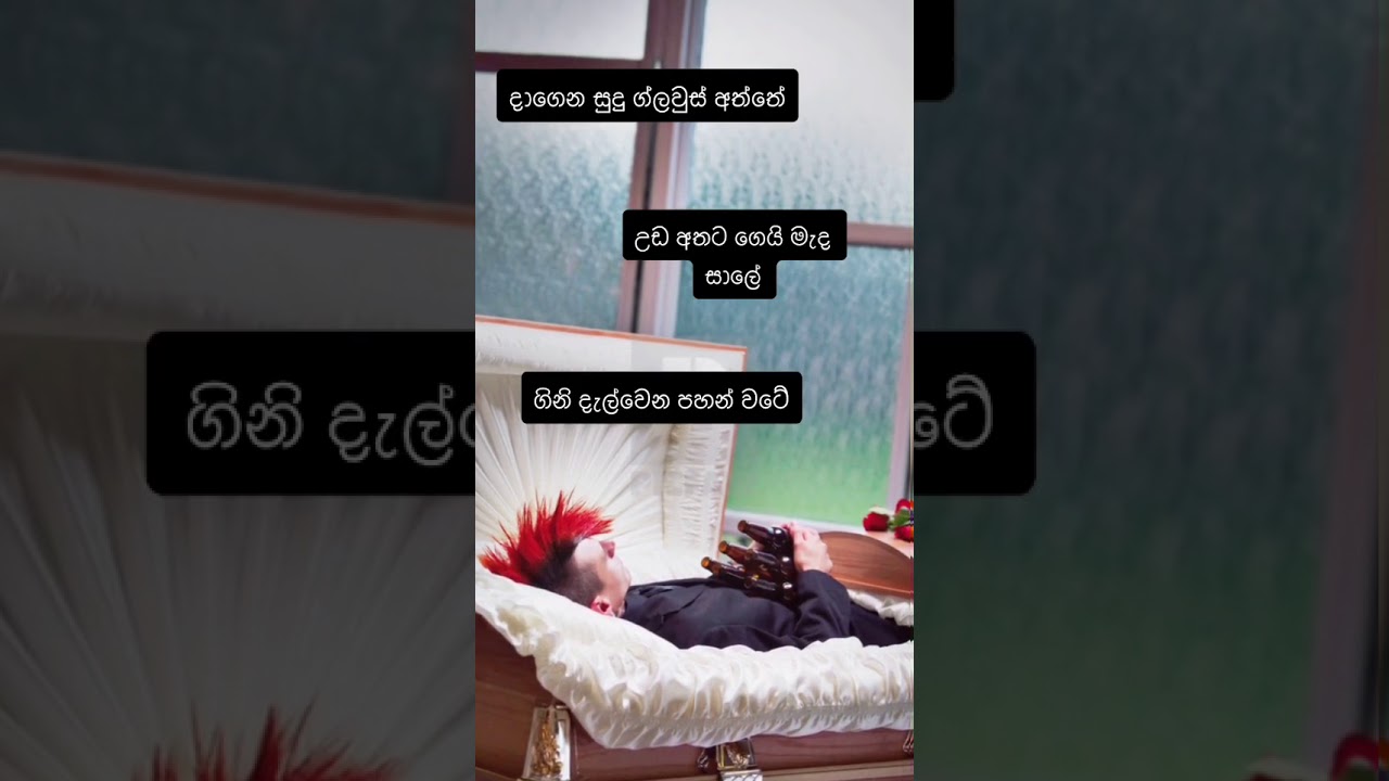 Sinhala wadan | adara wadan | hithata danena wadan | whatsap status ...