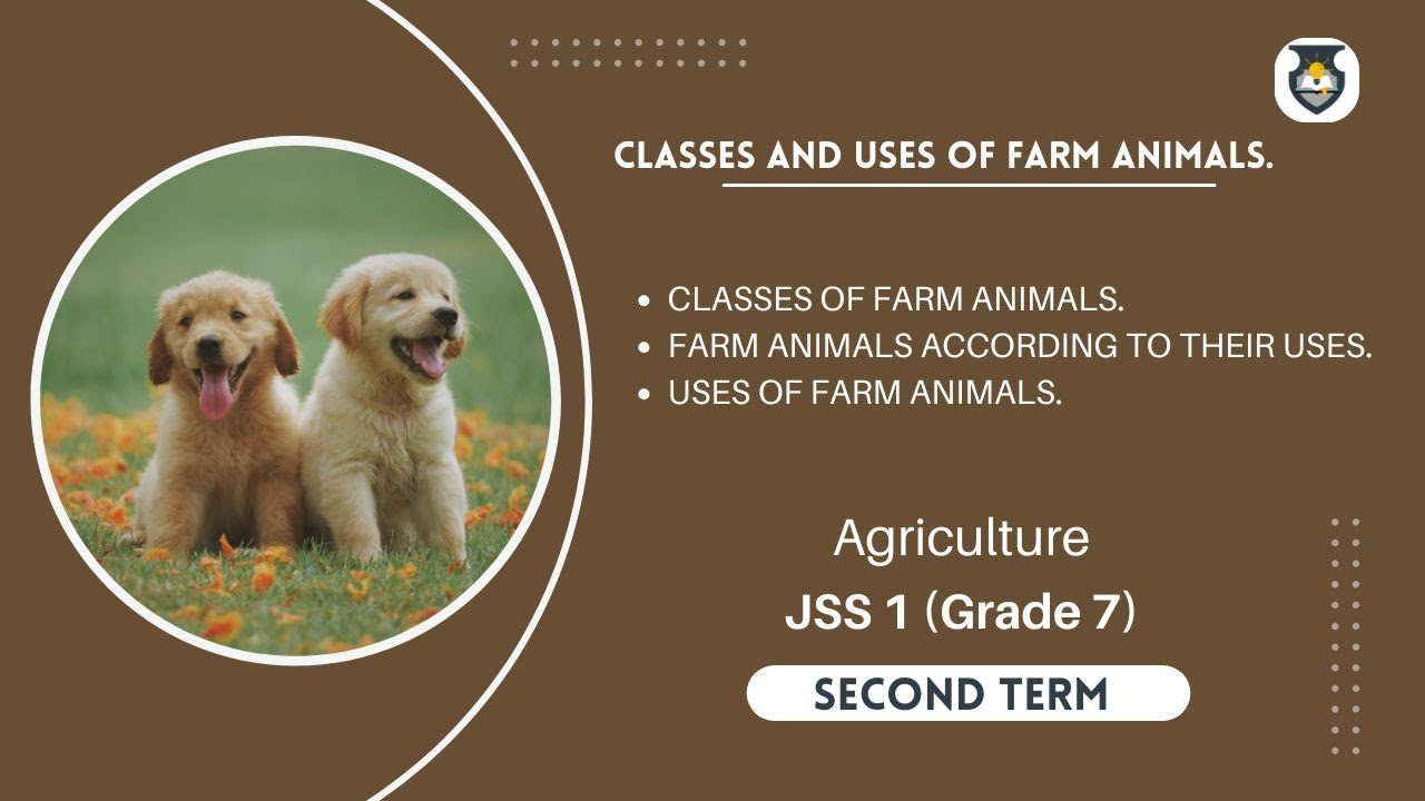 Classes and Uses of Farm Animals - YouTube