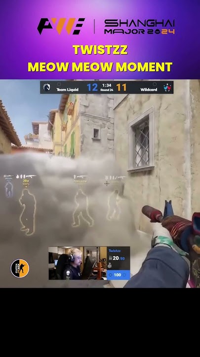 TWISTZZ MEOW MEOW MOMENT #csgo #gaming #counterstrike #esports # ...