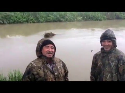 Seymur ve dost lair gezel mekanda