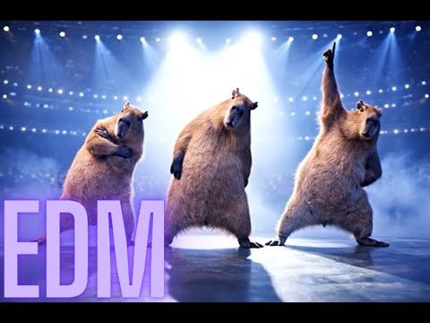 Capybara Steps Into the Spotlight – EDM Hip Hop Dance Performance 🎧🦫🔥 ...