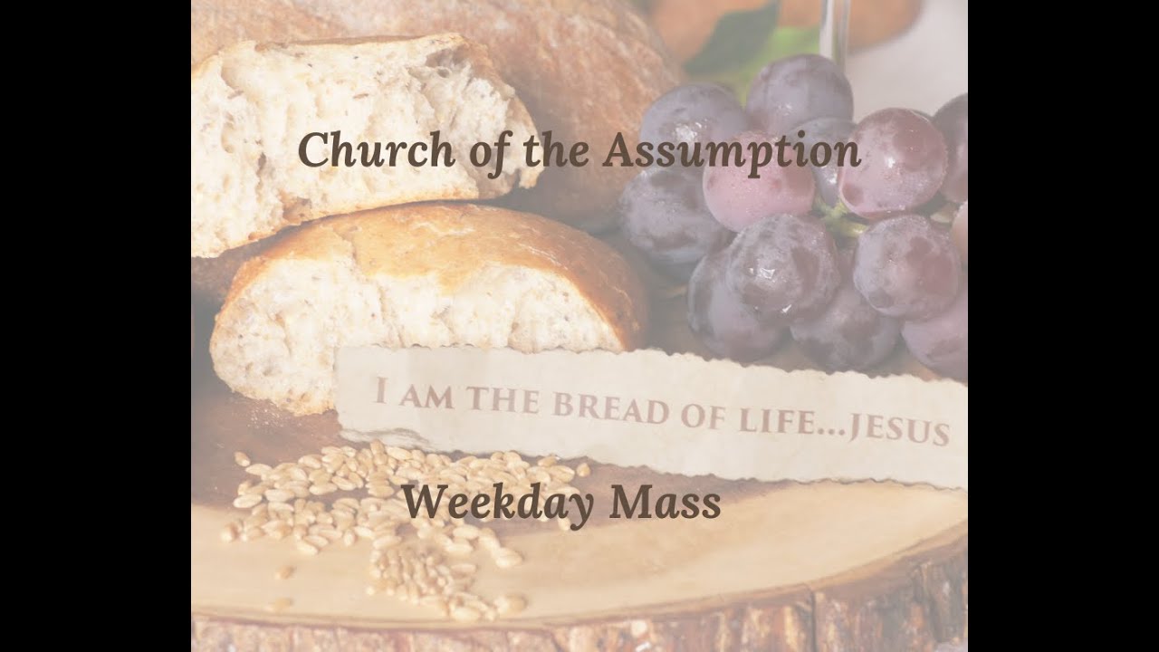 Thursday in the 14th Week of Ordinary Time - YouTube
