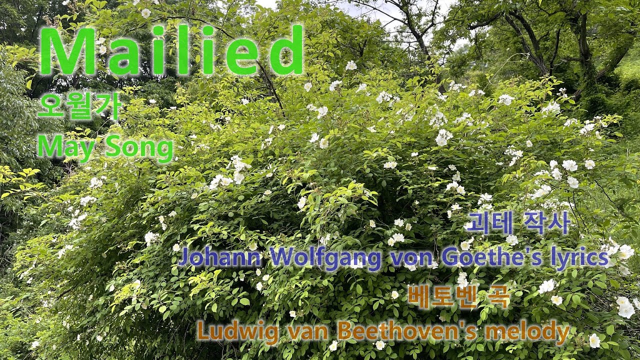 Mailied ♪ 오월가 May Song / Goethe & Beethoven (독일어 German) 마일리트 5월의 노래 ...