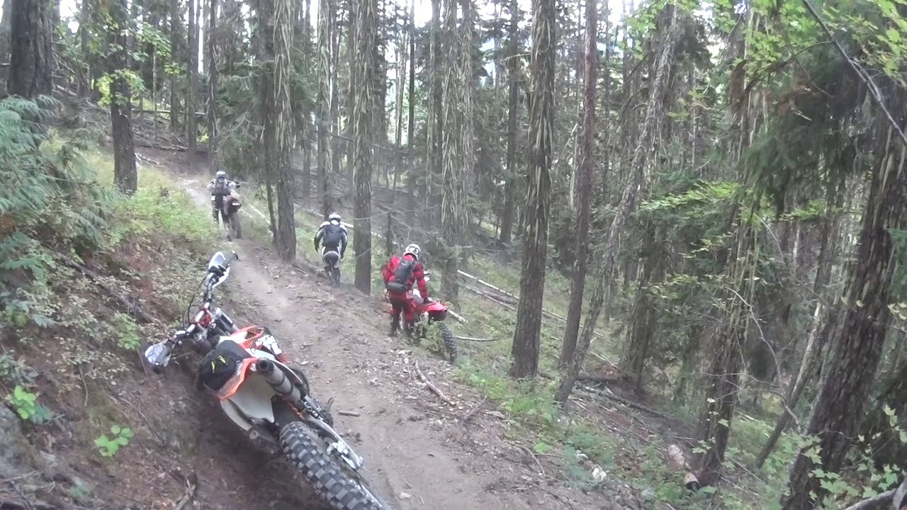 Dang Squirrels! - YouTube