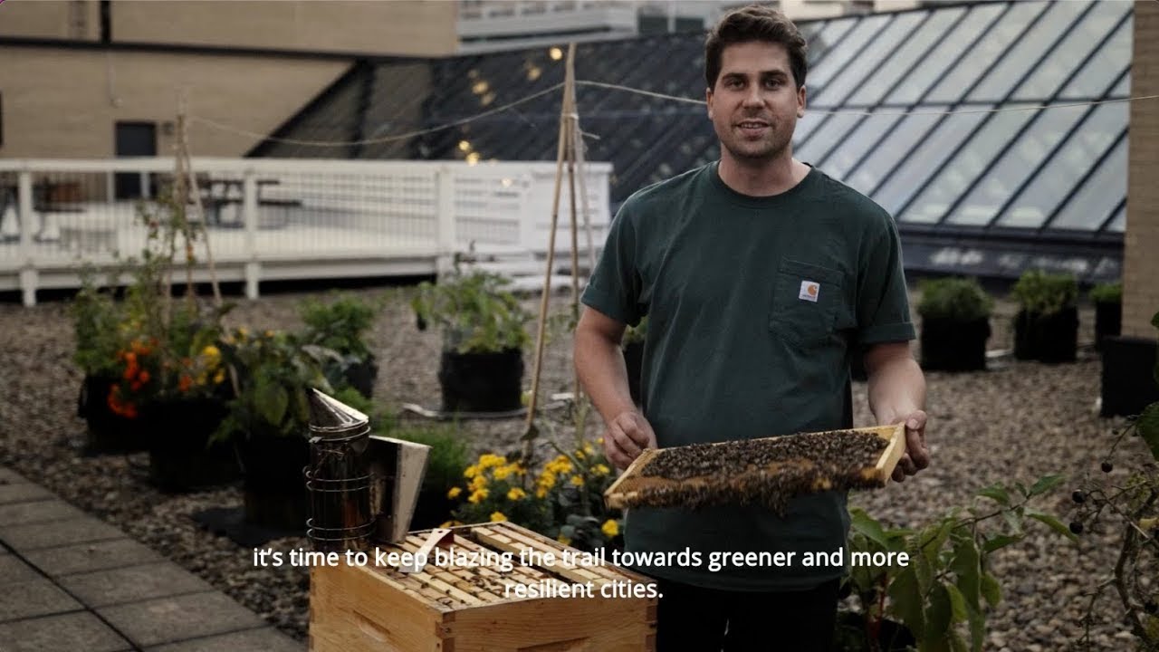 The future of urban beekeeping: introducing new nature-driven ...