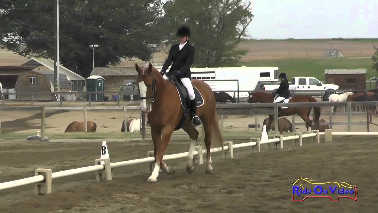 045D Devin Eastman on Gaelic Blessing JR Novice Dressage Shepherd Ranch ...