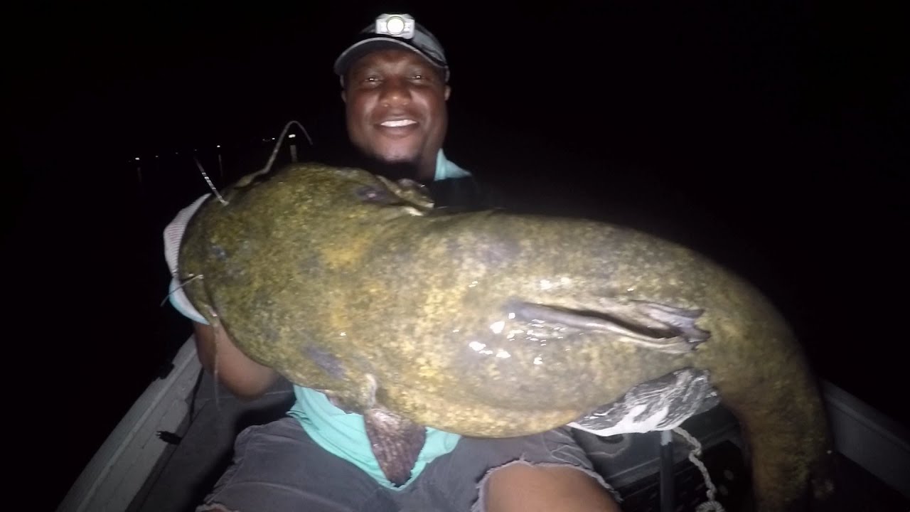 My First Night Trip of the Year - Several BIG CATFISH!! - YouTube