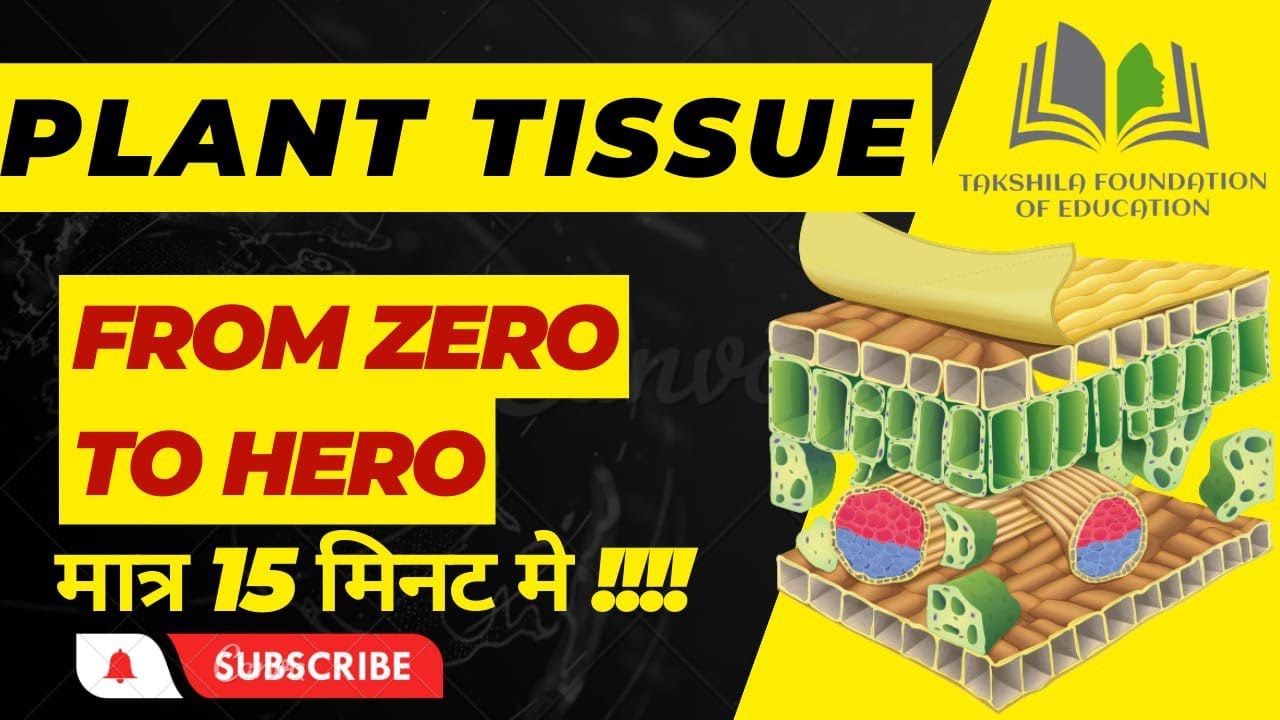 Tissue Class 9 From zero to hero||Tissue chapter 2 For class 9||Tissue ...