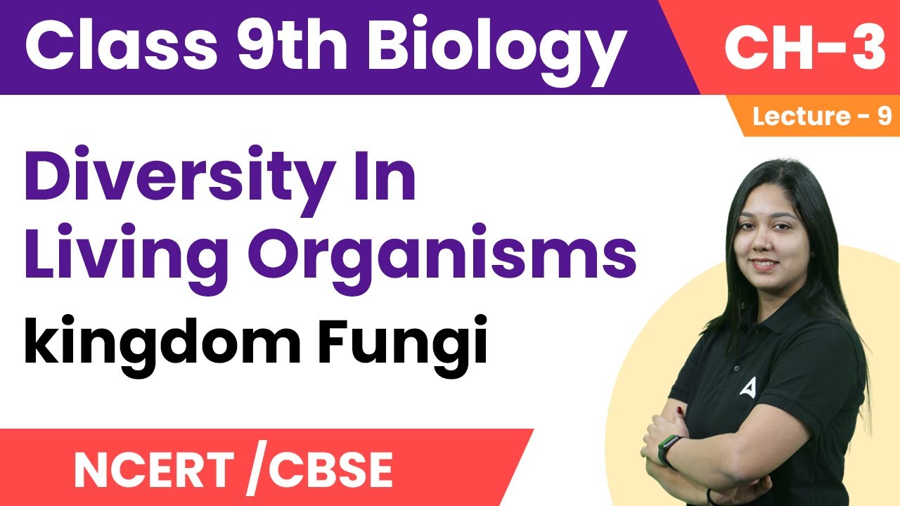Kingdom Fungi - Diversity in Living Organisms | Class 9 Biology Chapter ...