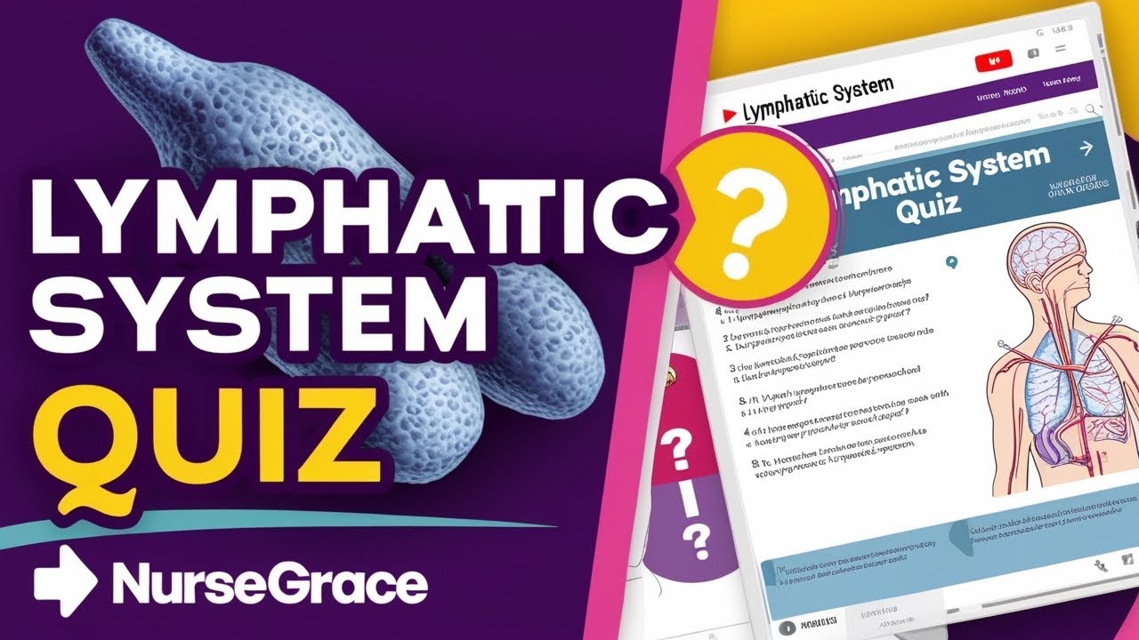 Master the Lymphatic System! 30 Essential Practice Questions with ...