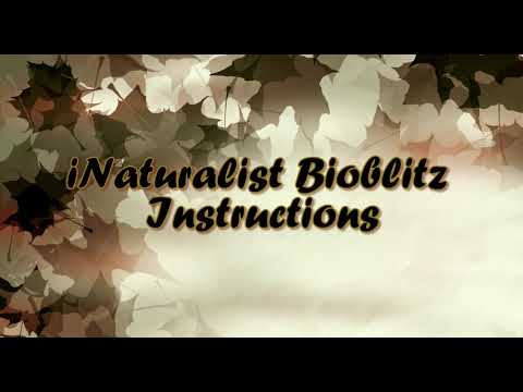 iNaturalist Bioblitz Instructions - Wildlife Weekend 2020 - YouTube