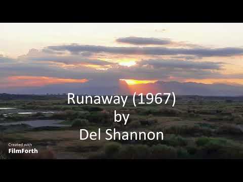 Del Shannon - Runaway (1967) - YouTube